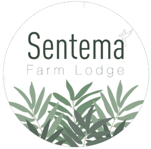 About the Lodge – Sentema Farm Lodge